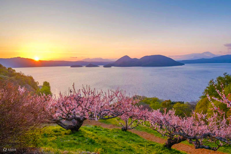 [Lake Toya, Hokkaido] Lake Toya & Noboribetsu Hell Valley & Bear Ranch ...